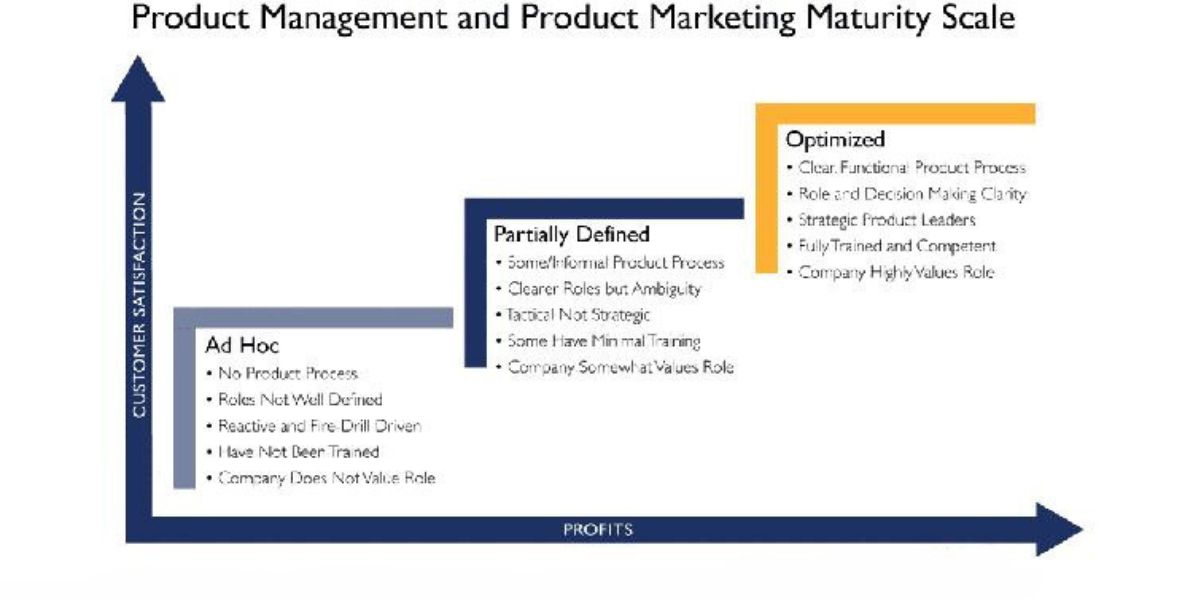 What Is Product Management Maturity Model? (Everything You Need To Know ...
